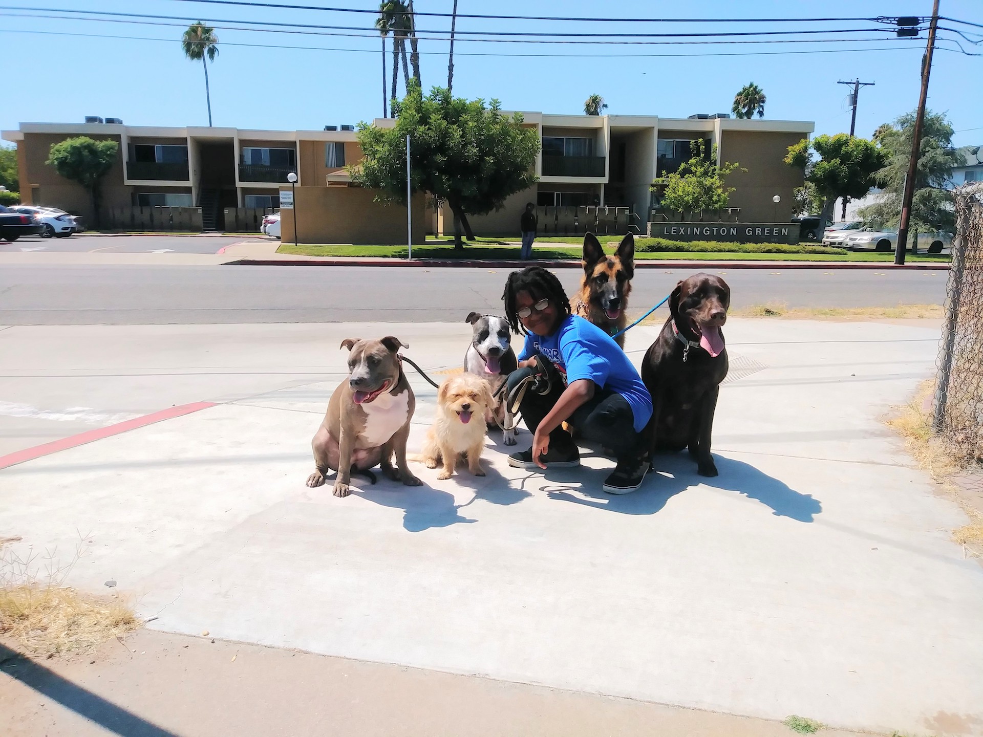Basic Dog Training for Kids - Pack Method Prep