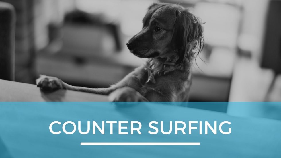 Counter Surfing - Pack Method Prep